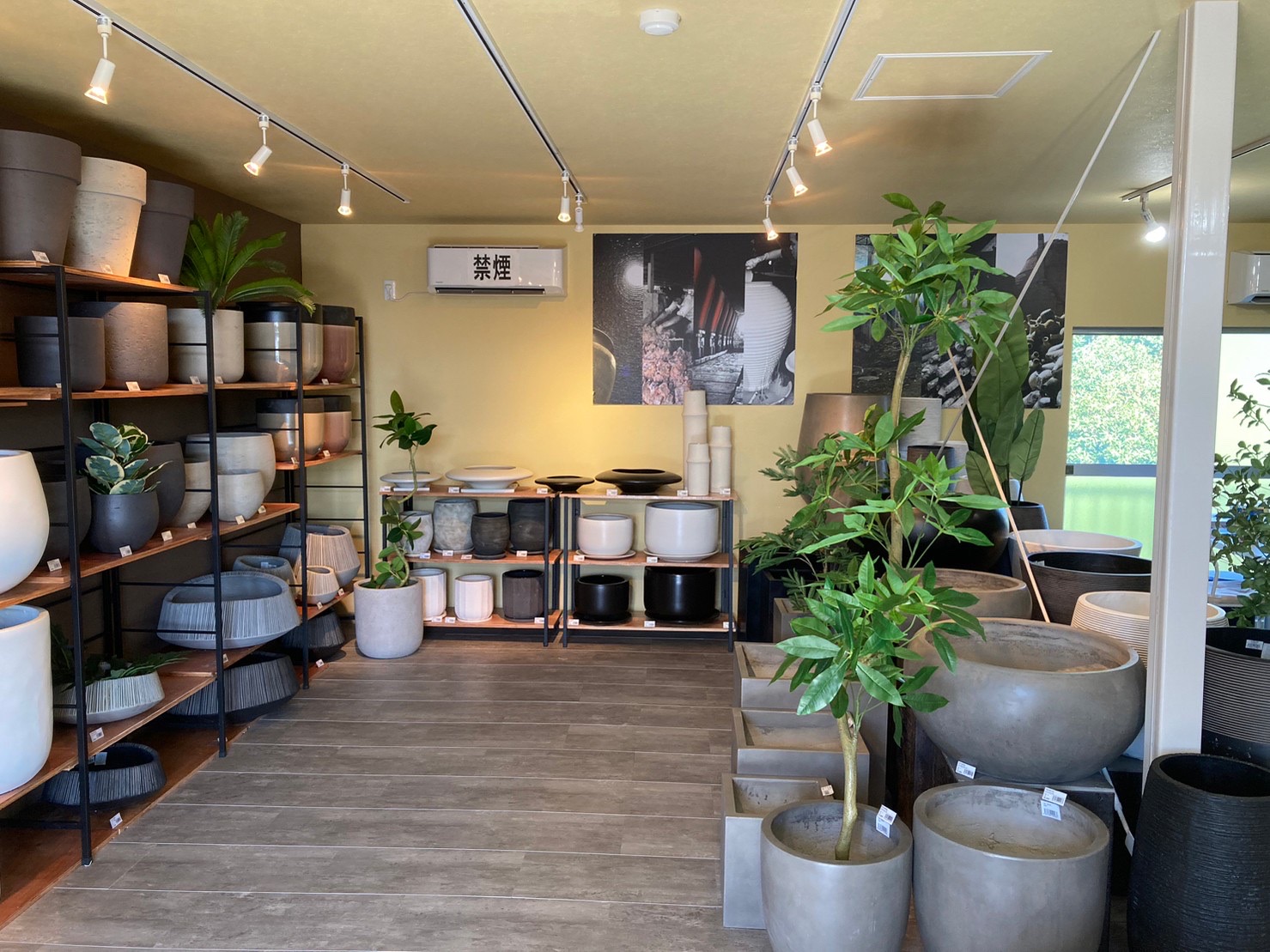 964F0F45-E1D2-4318-86C2-17DF9F62F118 - murmures